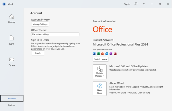 Microsoft Office Professional Plus 2024 Buy now